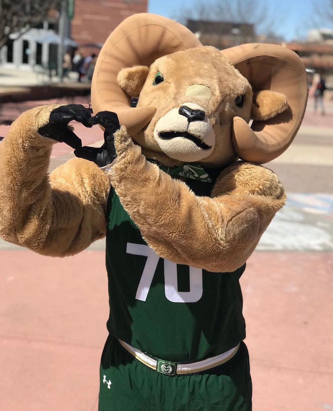 Colorado State University Mascot