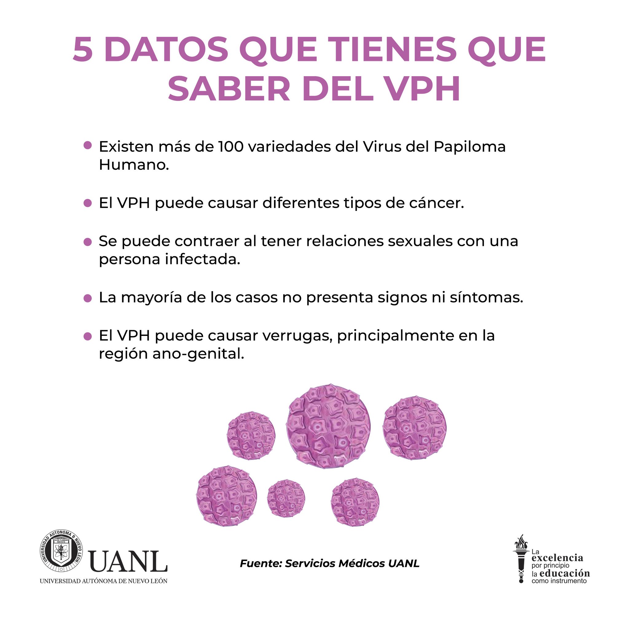 Uanl On Twitter El Virus Del Papiloma Humano Es Una De Las | The Best ...