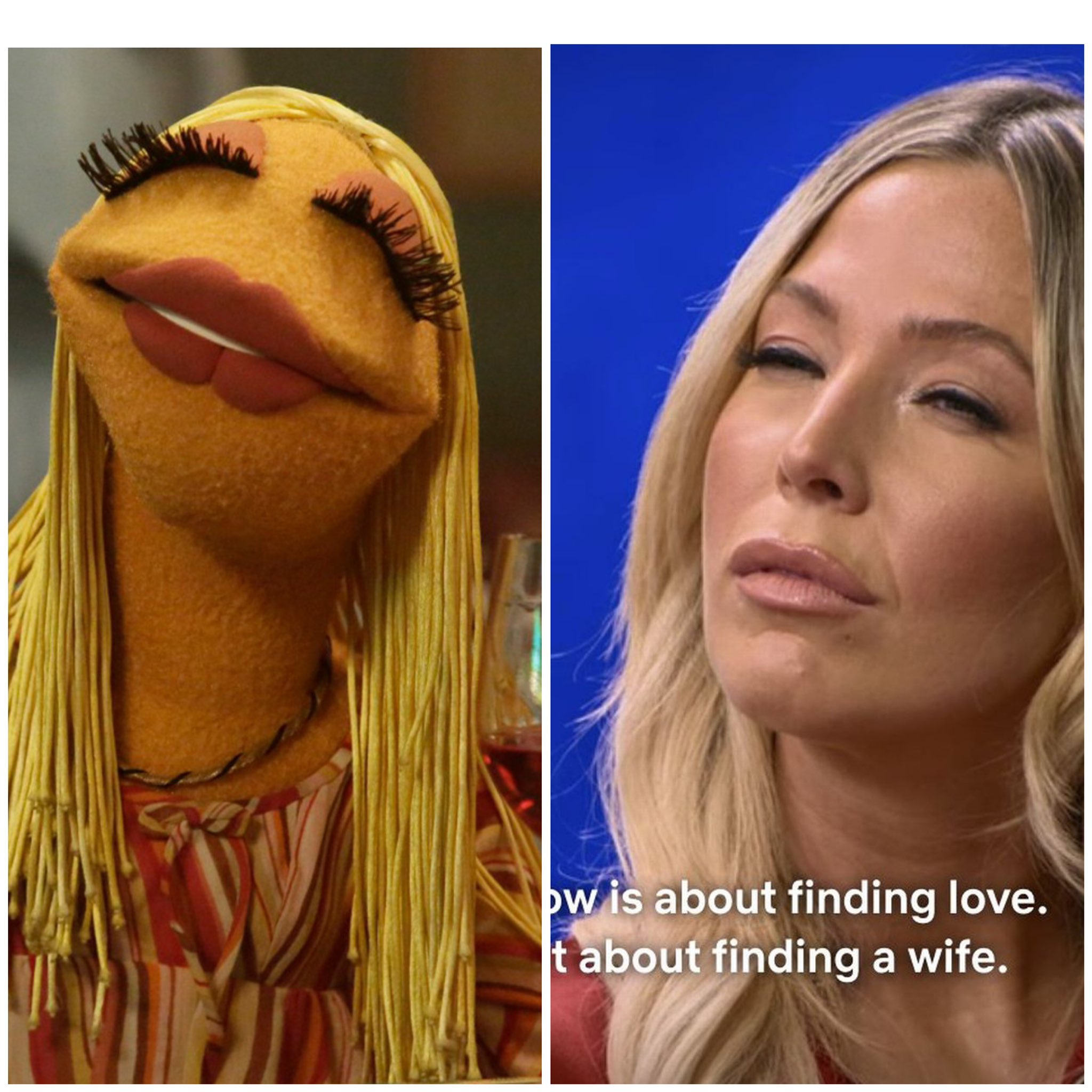 Shaina Memes 238 | HP Memes That Are Funny And Random | Quotev