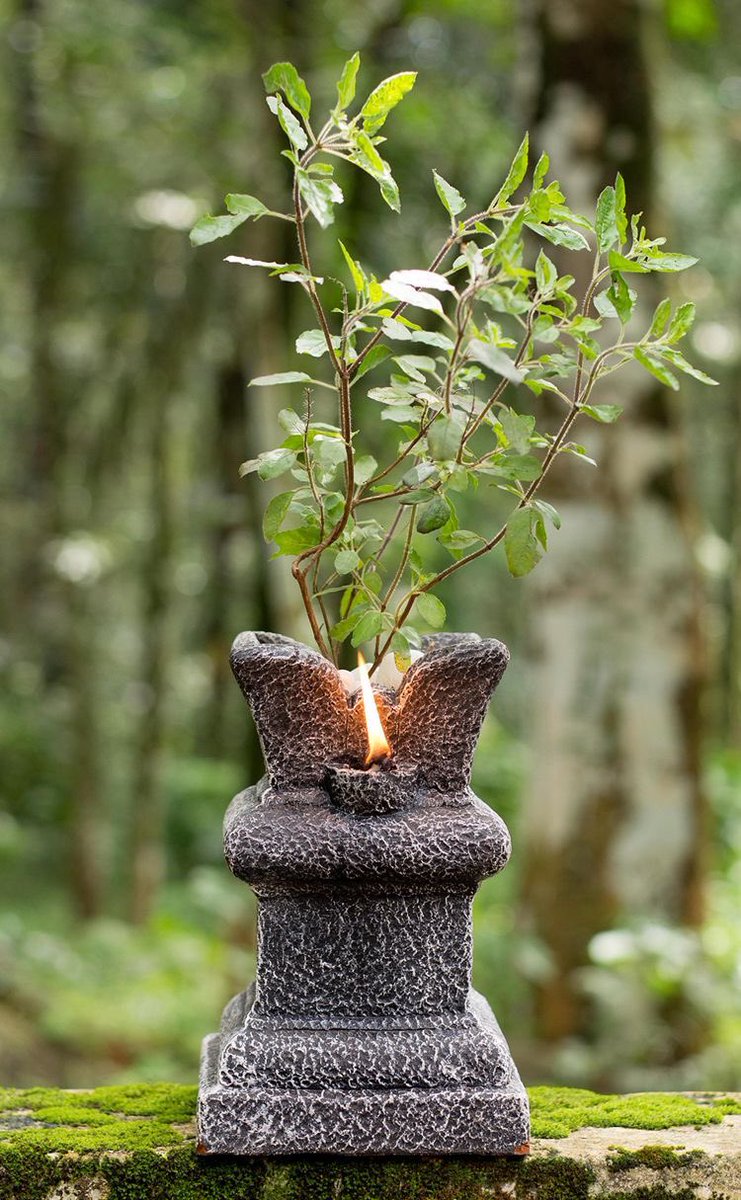 Why a Tulsi plant in the courtyard of the house? “. Every good family ...