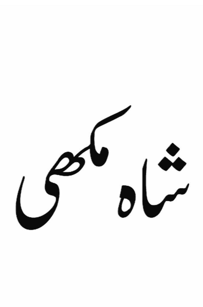 𝑺𝒉𝒂𝒉𝒎𝒖𝒌𝒉𝒊 𝑷𝒖𝒏𝒋𝒂𝒃𝒊 𝒔𝒄𝒓𝒊𝒑𝒕 شاہ مُکھی پنجابی لِپی. •Introduction to ...