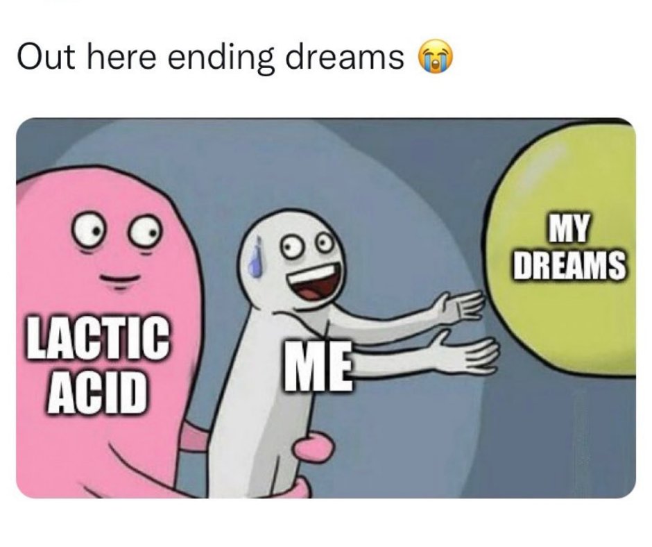Lactate Memes Lactate Dehydrogenase A/LDHA Antibody BSA Free