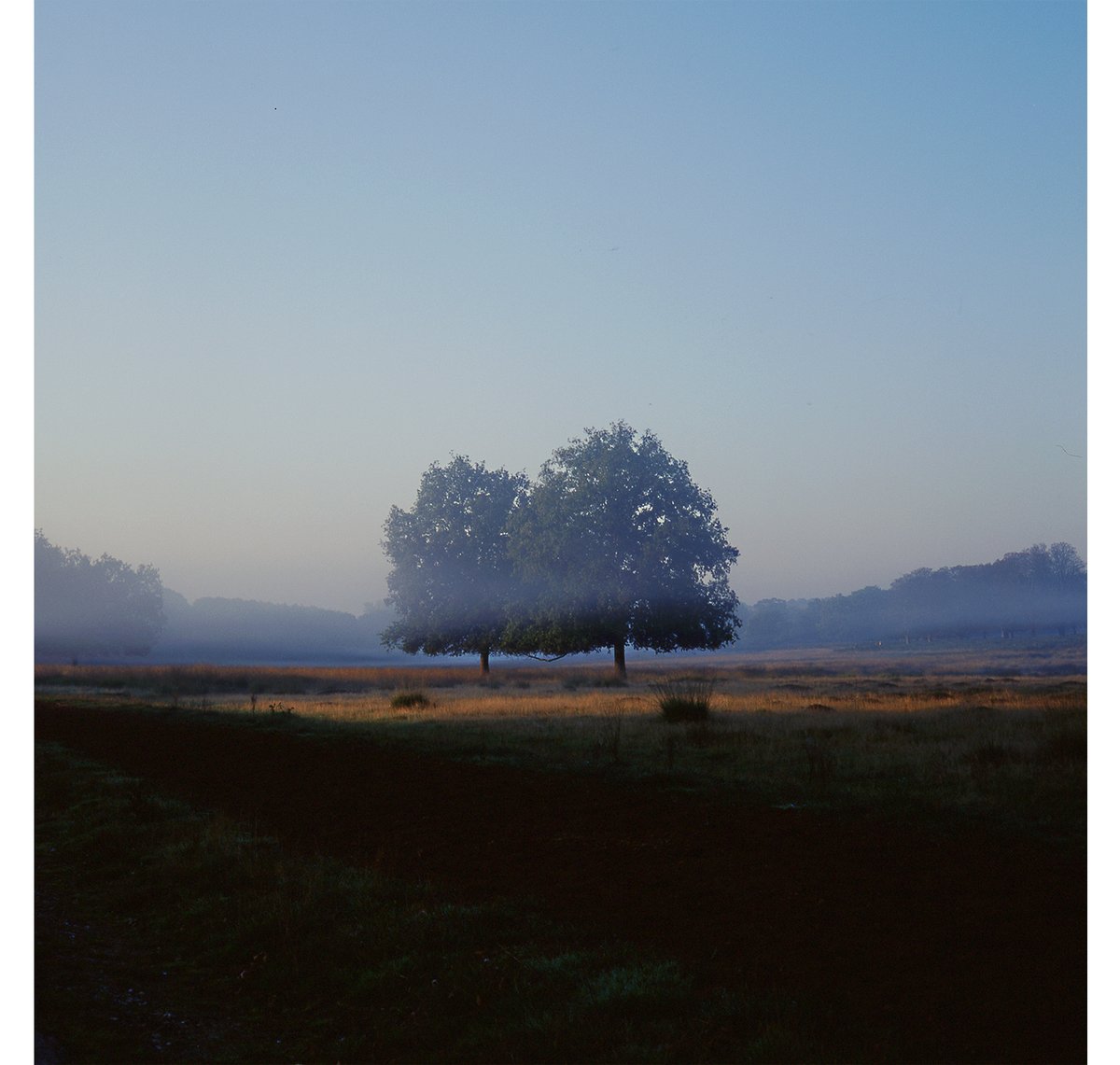 Some of Rhiannon Adam's photography.. Joseph Gordon-Levitt @hitrecordjoe