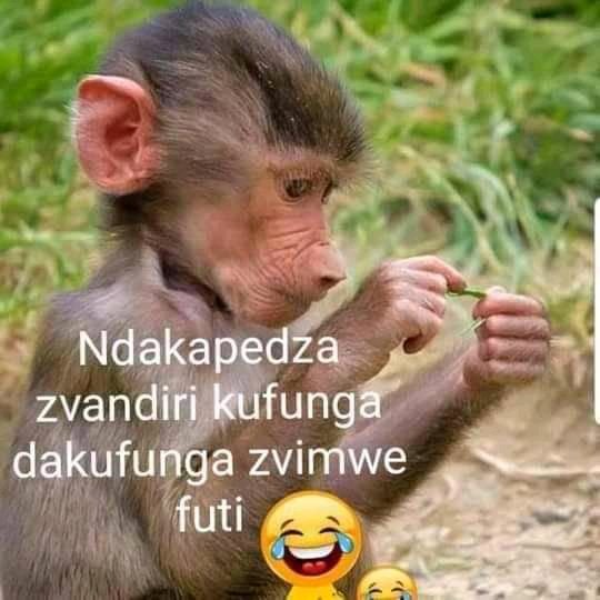 Benaiah (@munemo_benson) | Twitter