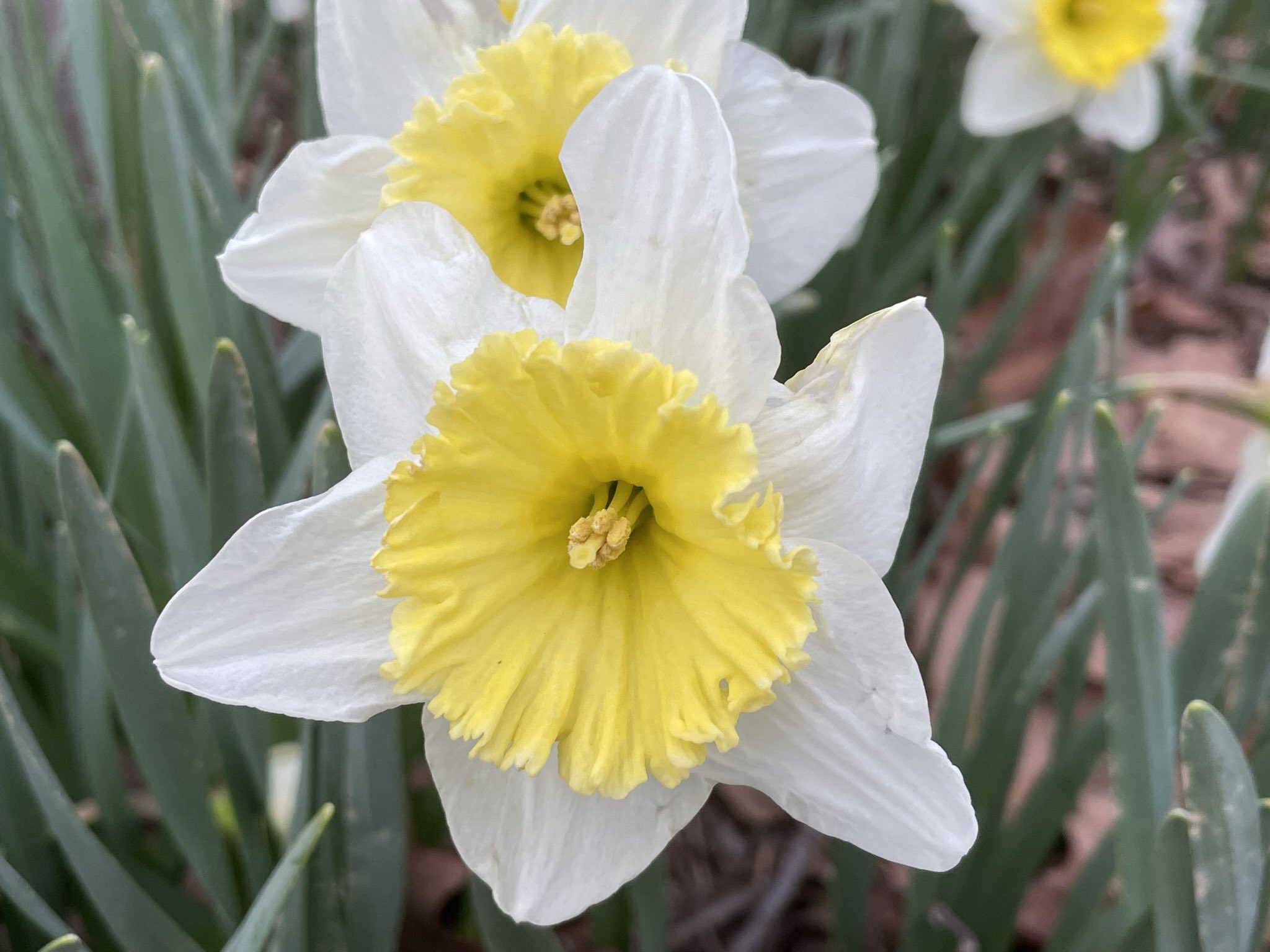 TW Pornstars - 3 pic. Flowergoth Roze, Exxotica Miami!🌈. Twitter ...