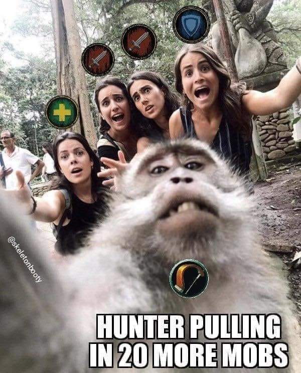 World Of Warcraft Hunter Meme