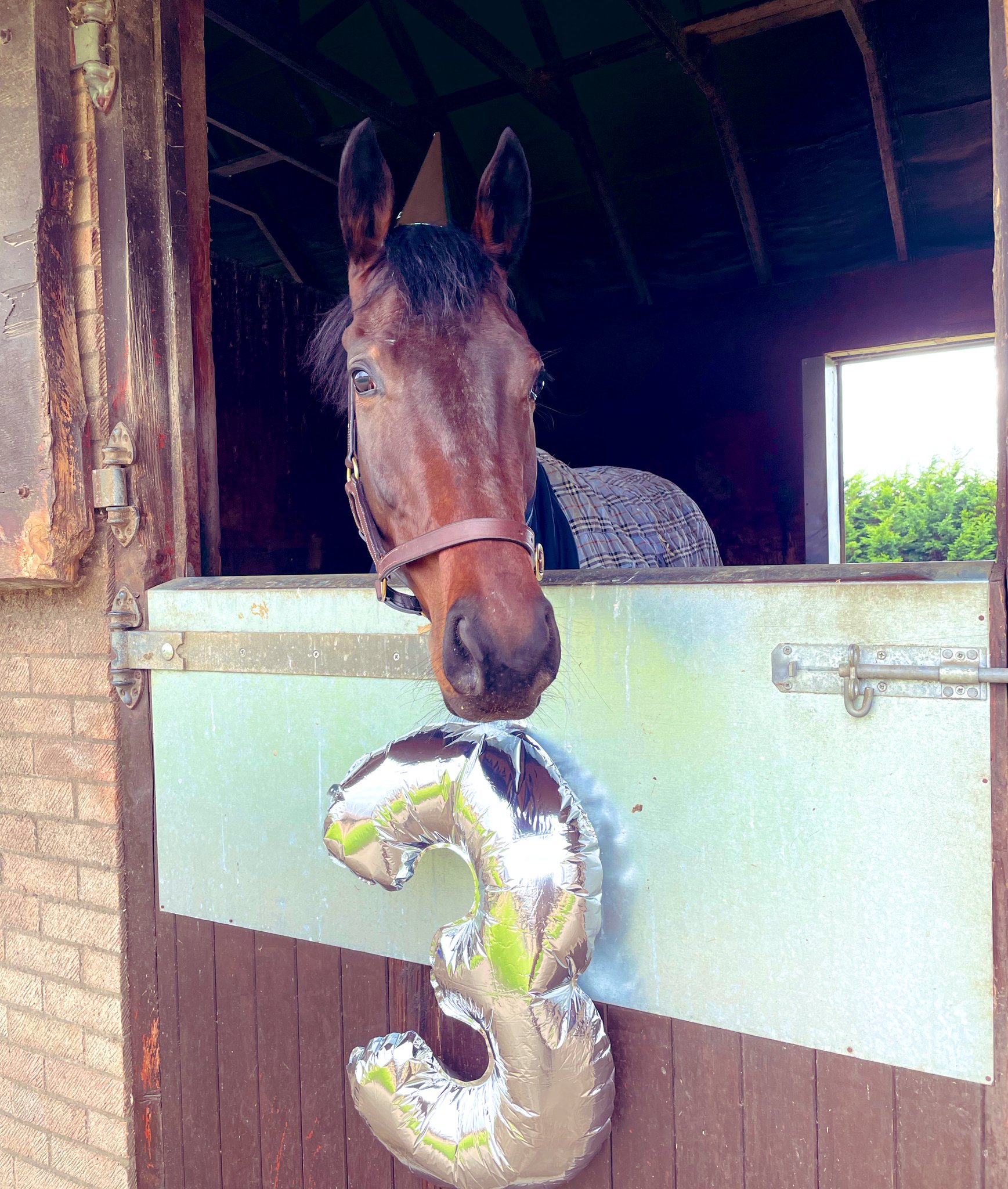 Ruby Red Racing on Twitter: "Happy Birthday to Shorts On! 3 today 🎂 🎉 🎈 https://t.co/OOnTup3VnP ...