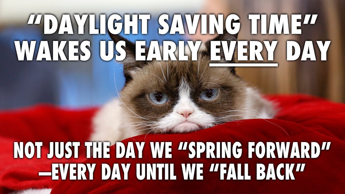 Spring Forward Funny Animal
