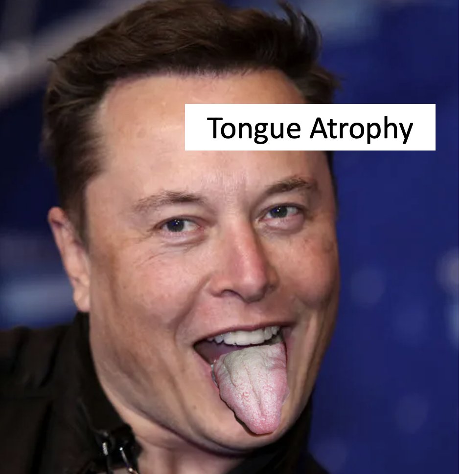 Has anyone made a visual #tweetorial to help you remember the common ...