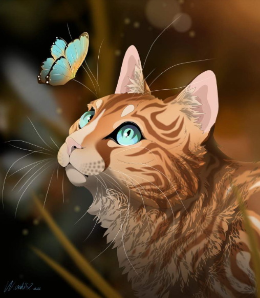 Beautiful Warrior Cat Drawings Amazon.com: Warrior Felines Coloring