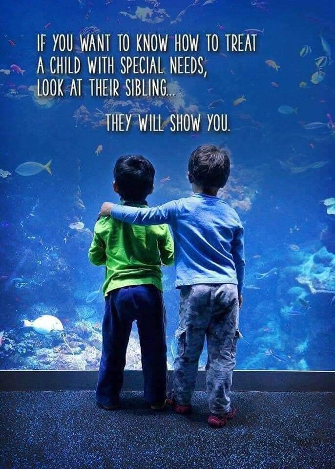 Special Needs Siblings Quotes