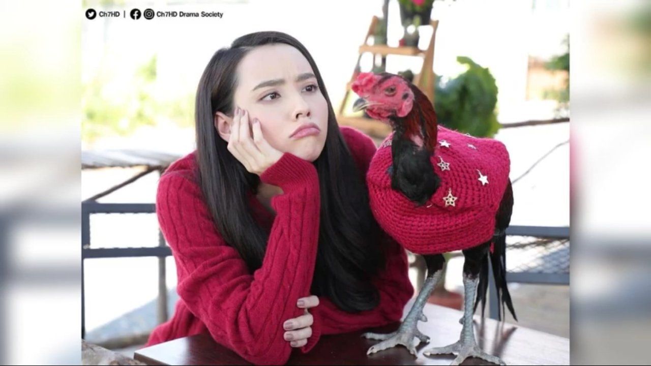 ppsutasinee on Twitter: "ความน่ารักของป๋ากะเมีย😳 เอ็นดูเนาะหนุงหนิงเนาะ😄🐓 #เขยบ้านไร่สะใภ้ไฮโซ ...