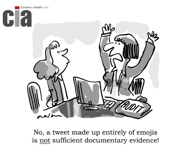 Internal Audit Cartoon