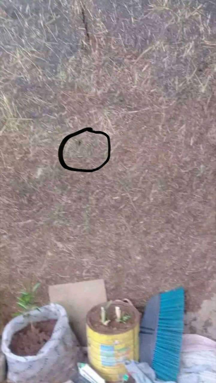 Dej-Azmach|ደጅ-አዝማች 🦁🦅 on Twitter: "1/ [Update Mar. 6/22] Amhara Media Center: Members of ...