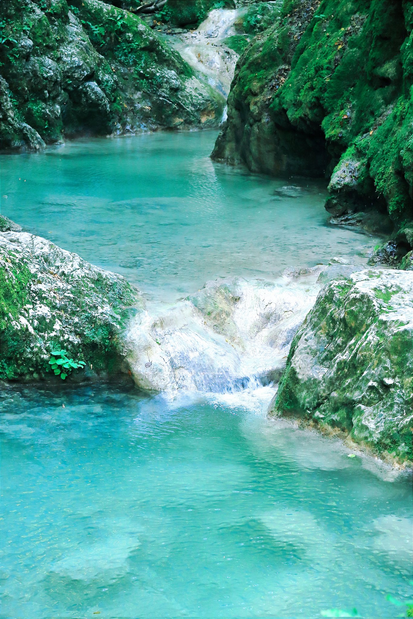 micca on Twitter: "Gm ☕🌞…