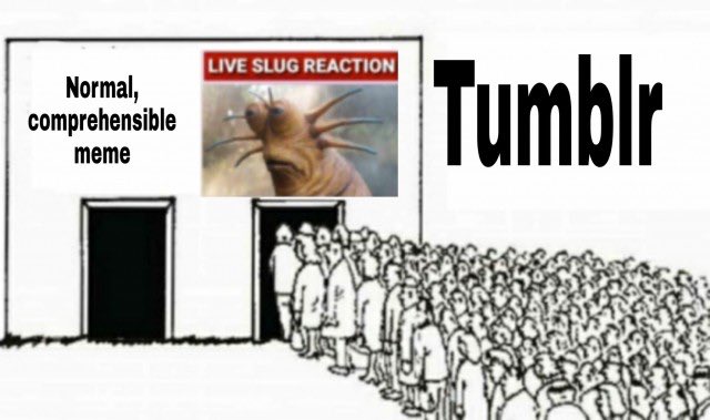 Funny Reaction Memes Tumblr