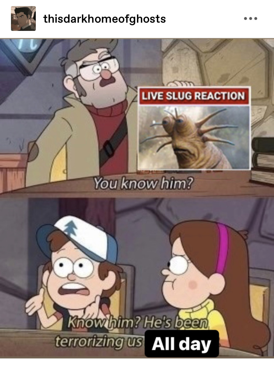 Reaction Memes Tumblr