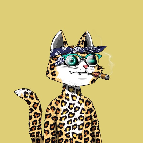 CryptoCat (@CryptoC48072868) | Twitter