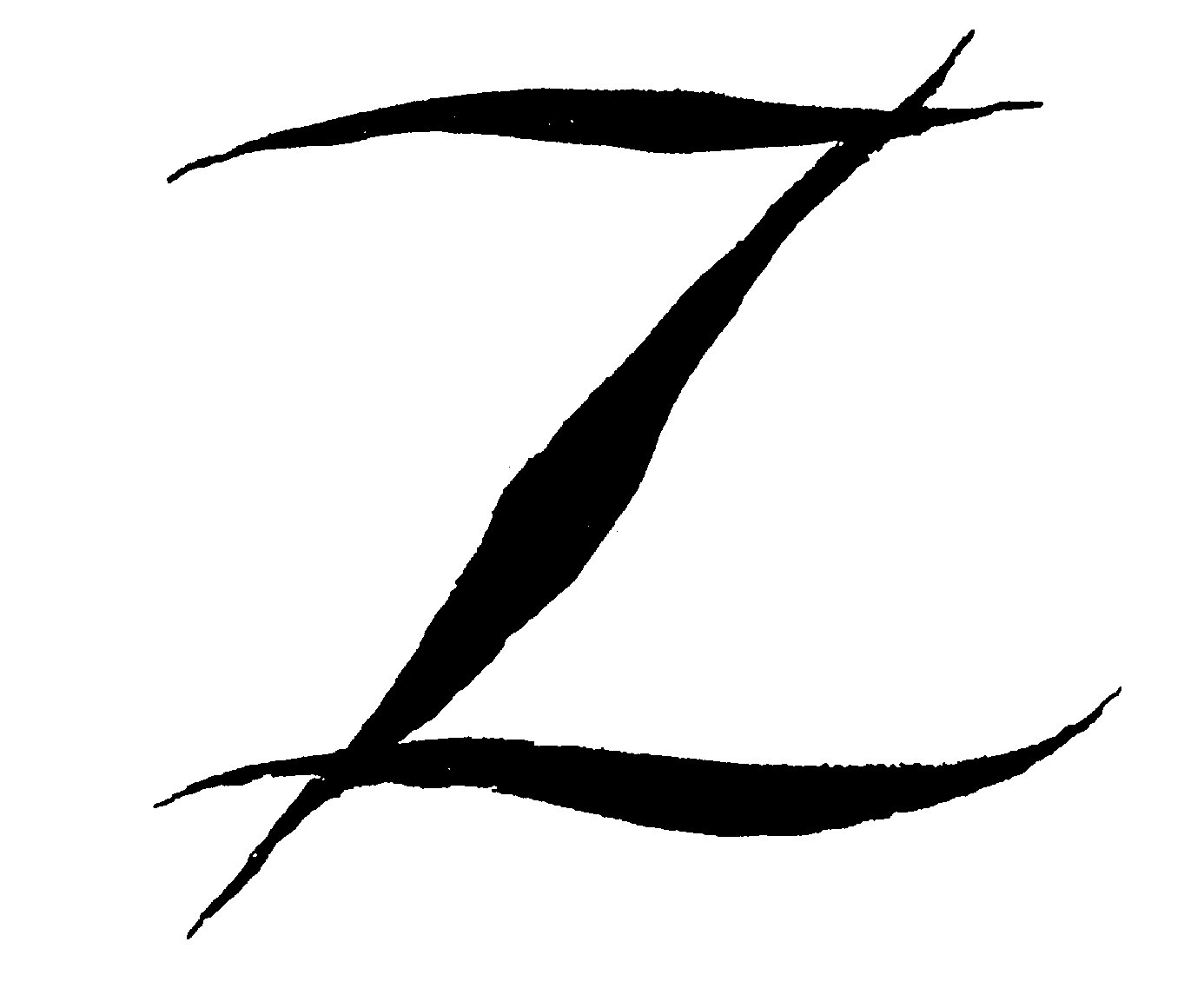 Zorro Z