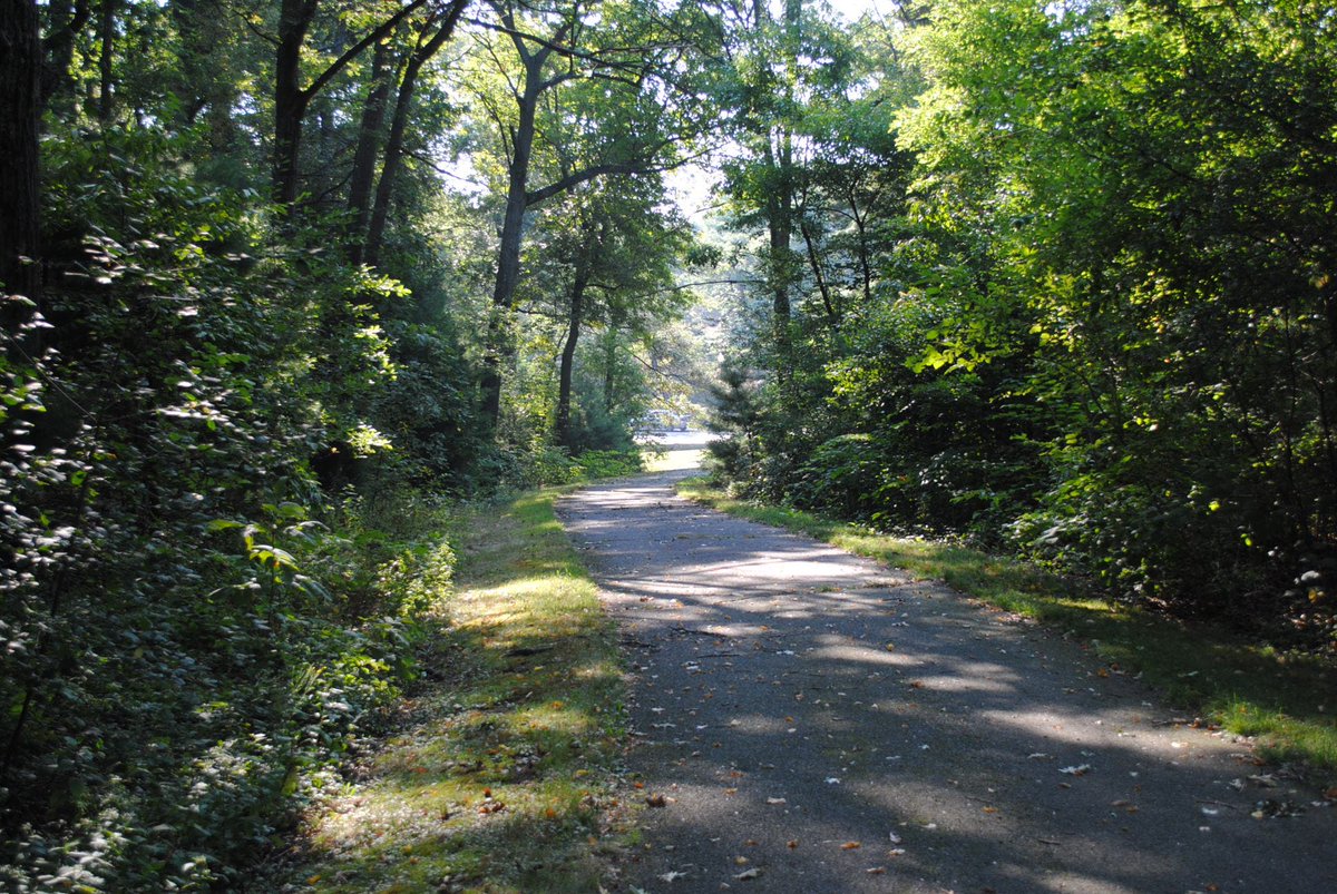 Elma Lewis Playhouse in the Park – Franklin Park Coalition