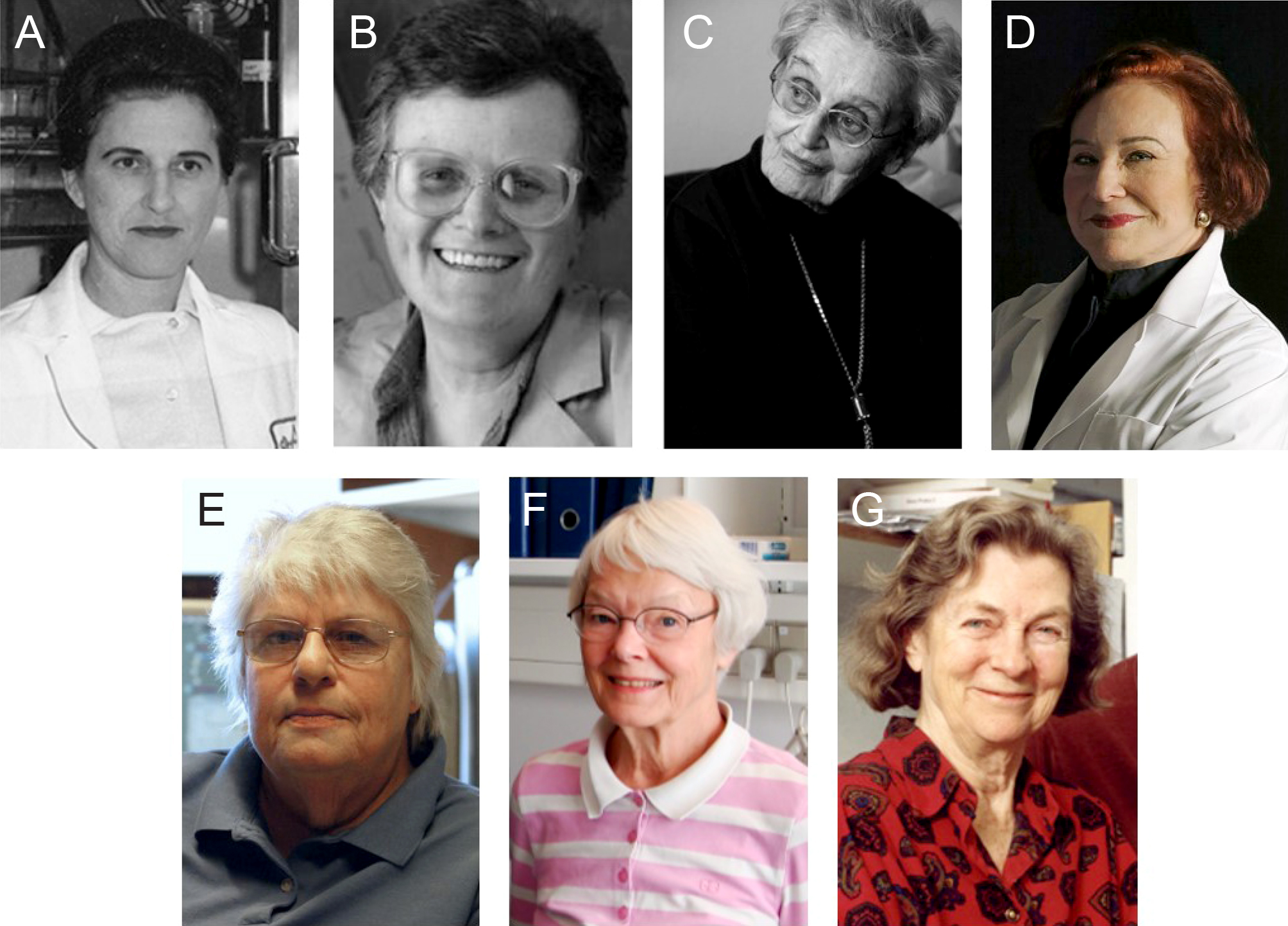 Reproduction Journal On Twitter Happy Internationalwomensday We Are So Grateful To All Of