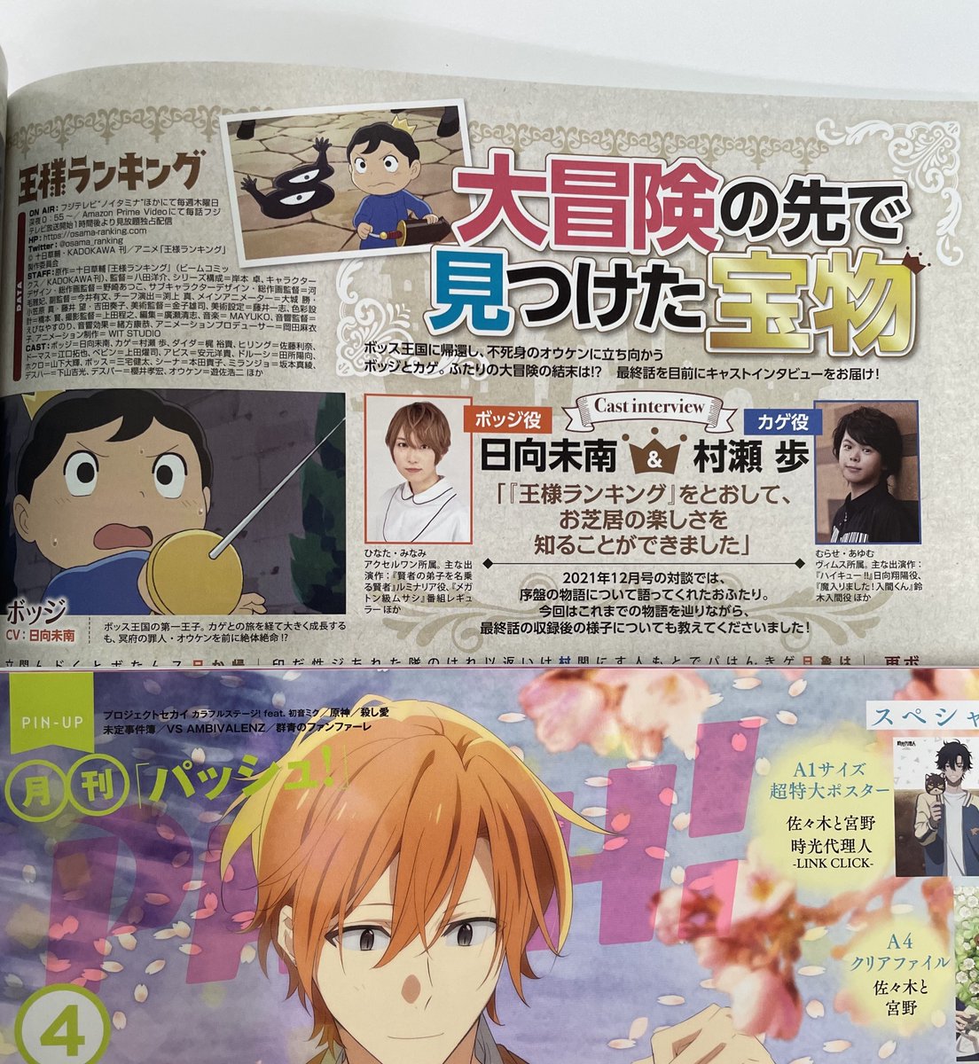 PASH!編集部 on Twitter: "【3/9発売PASH!4月号内容紹介】『王様ランキング』！最終話を目前に、ボッジ役・日向未南さんとカゲ役・村瀬歩さんの対談インタビュー第2弾を実施 ...