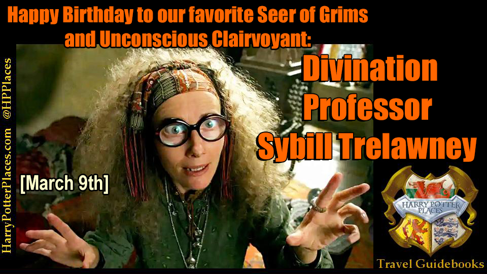 Harry Potter Divination Professor