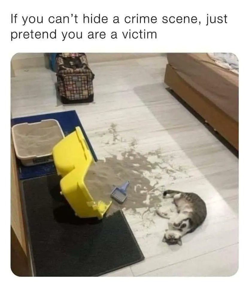 Evil Mastermind Meme