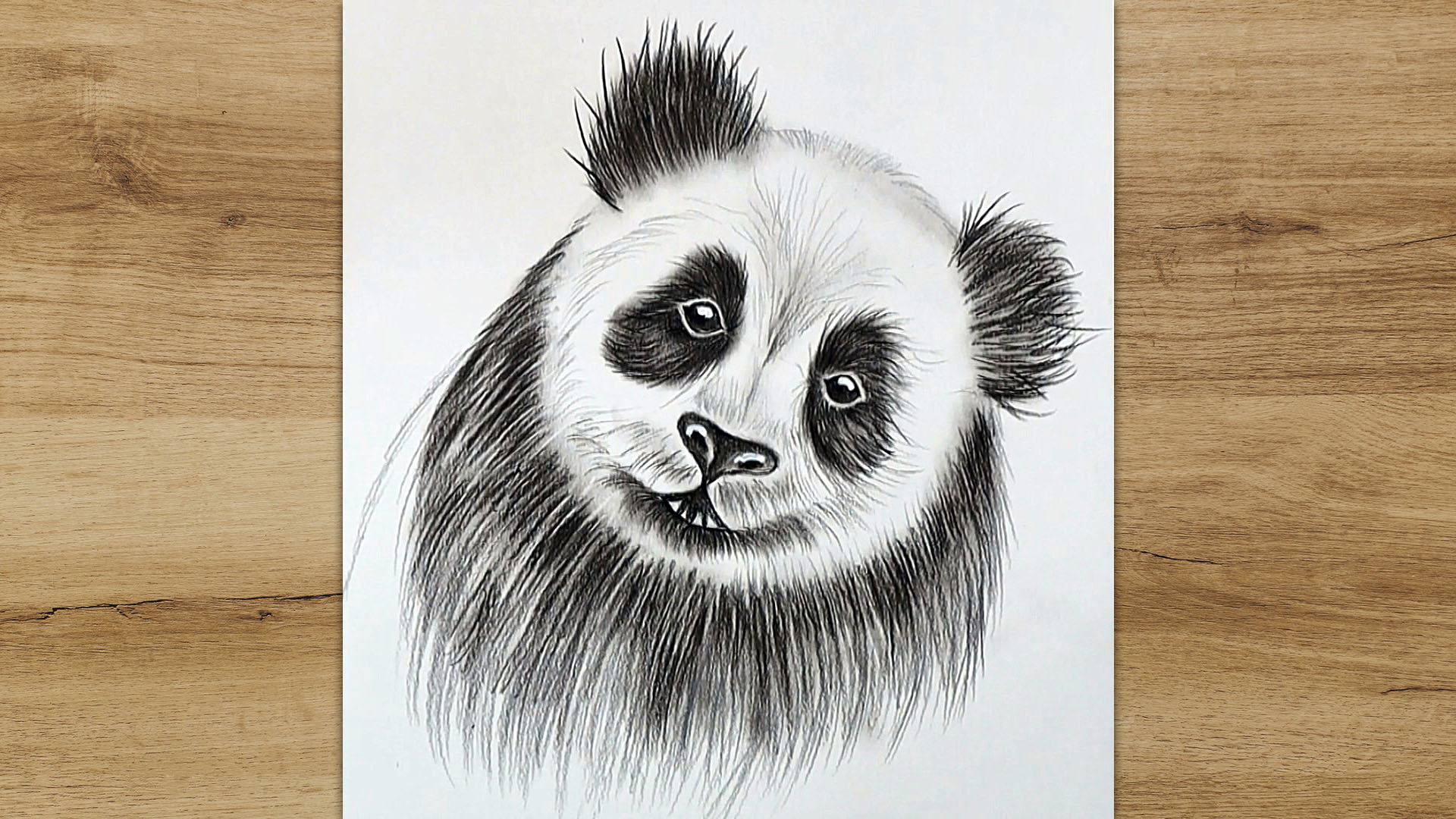 How To Draw A Realistic Panda Step By Step