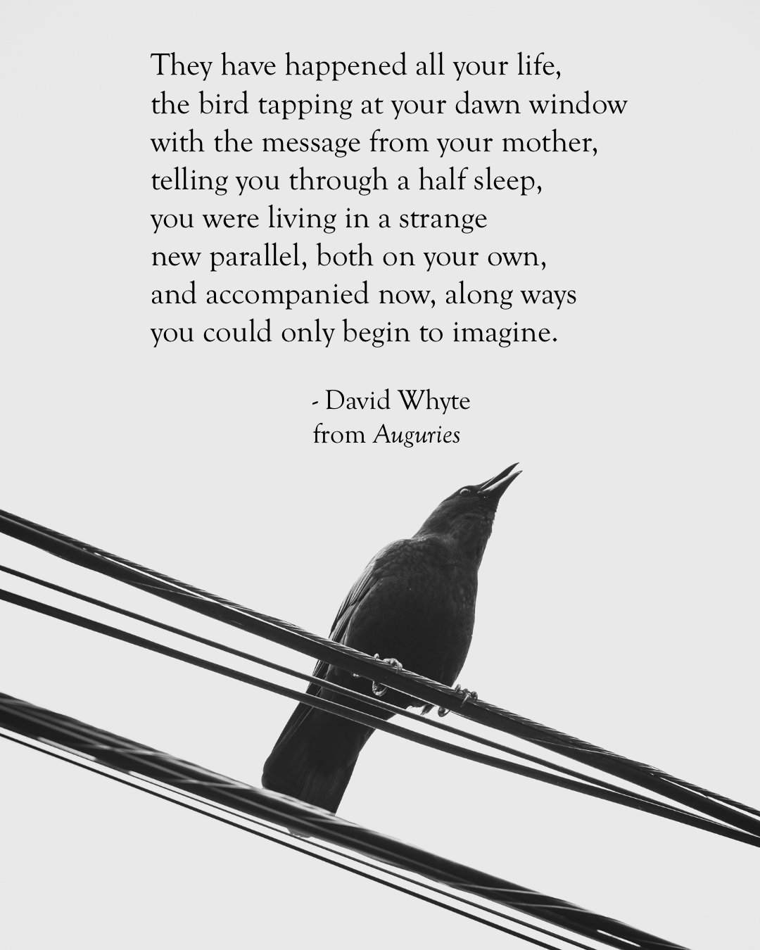 Possibility Poems Poems For The Millennium 4': On Choosing Work For A