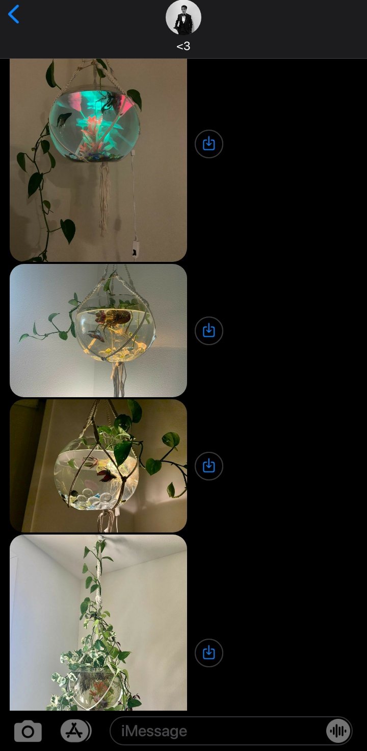 ً on Twitter: "669. lucu bingits https://t.co/GoNwl9vCk3" / Twitter