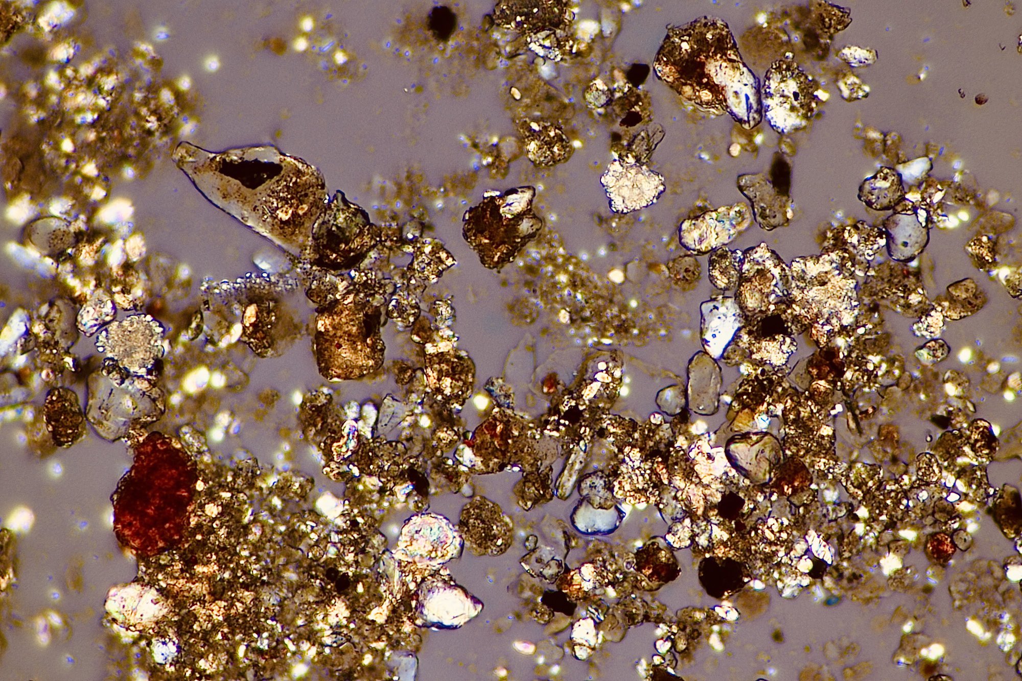 Microscopic Black Sand Gold