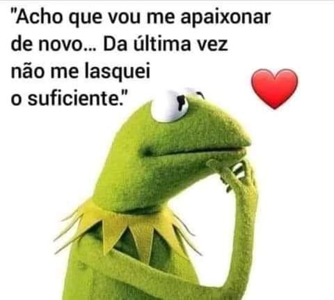 Caco Sapo Memes
