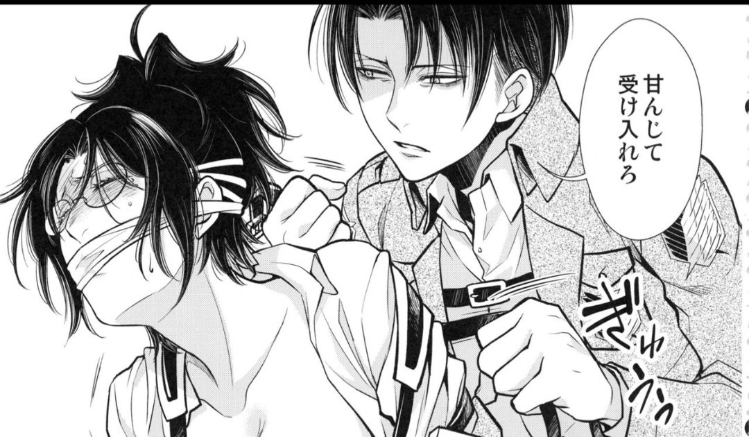 Levi X Hanji Doujinshi