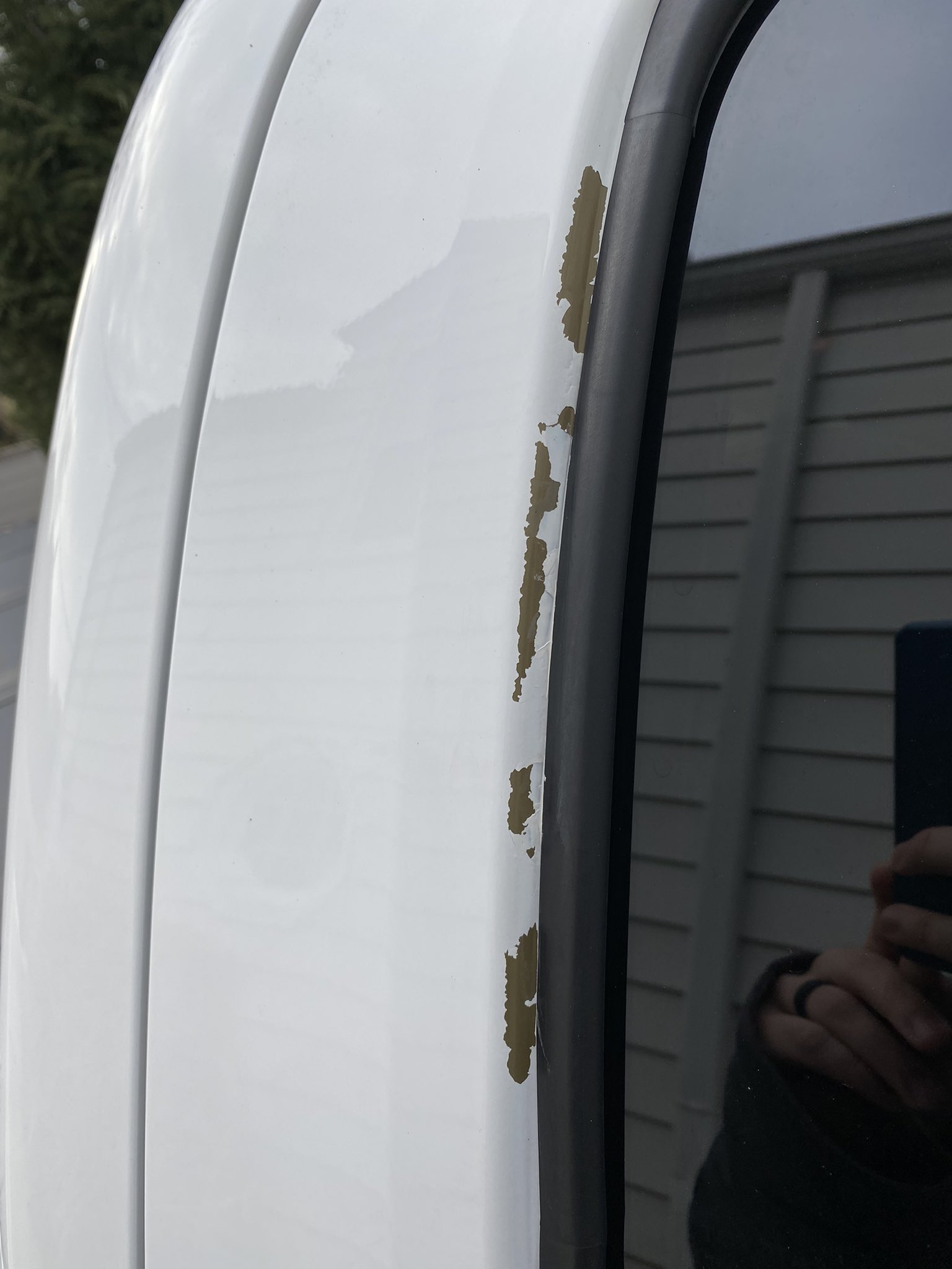 Toyota Tacoma Paint Recall