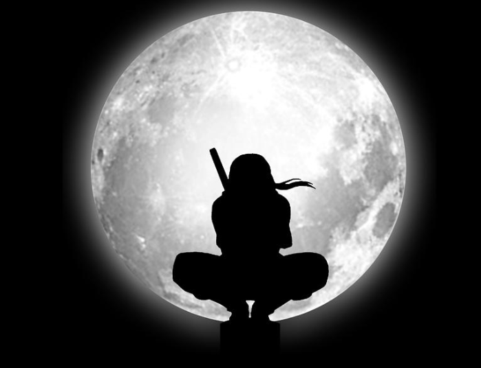 Ninja Moon Silhouette