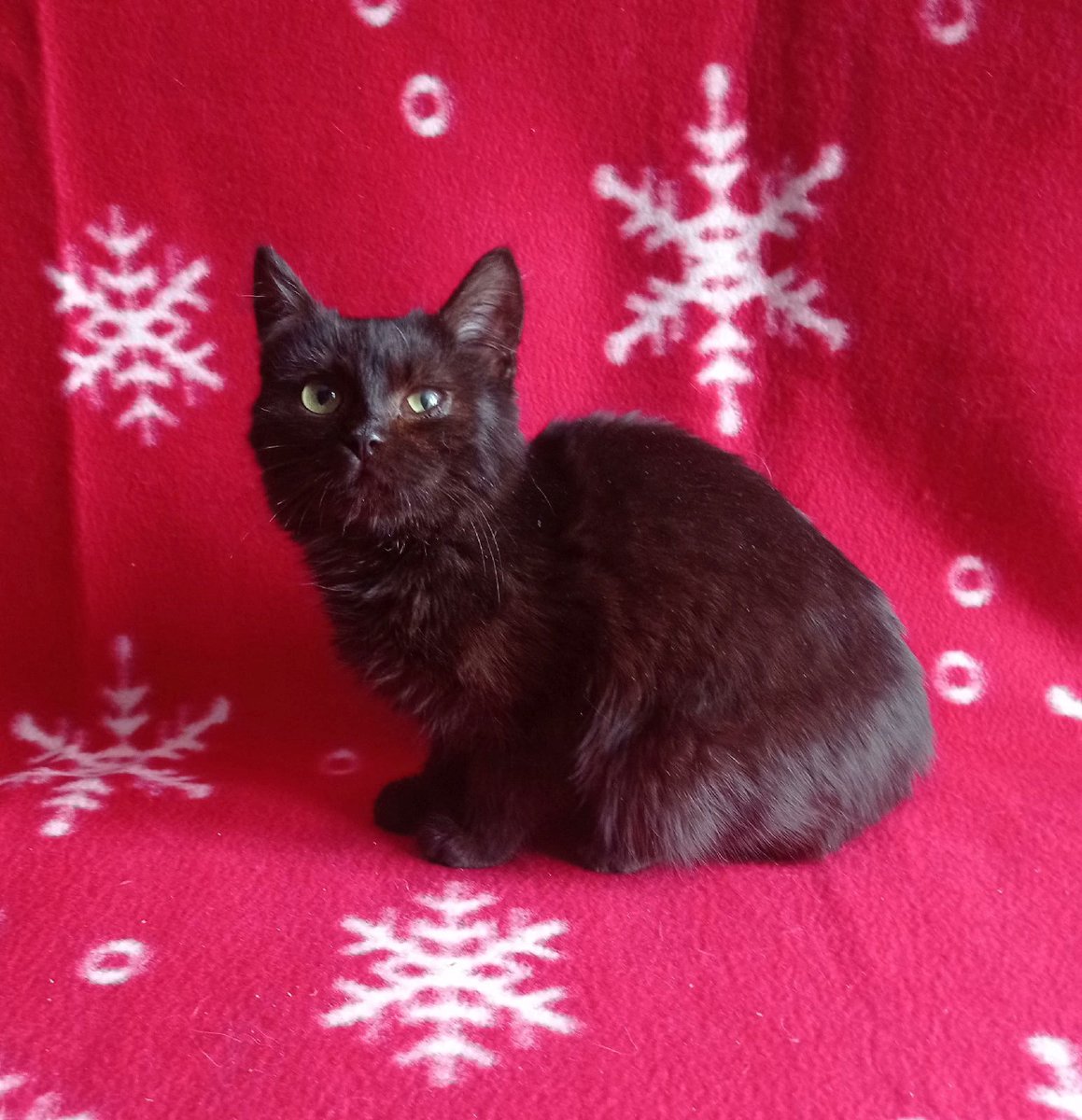 Ирина💙💛 (@__Irin_Ka__) | Twitter