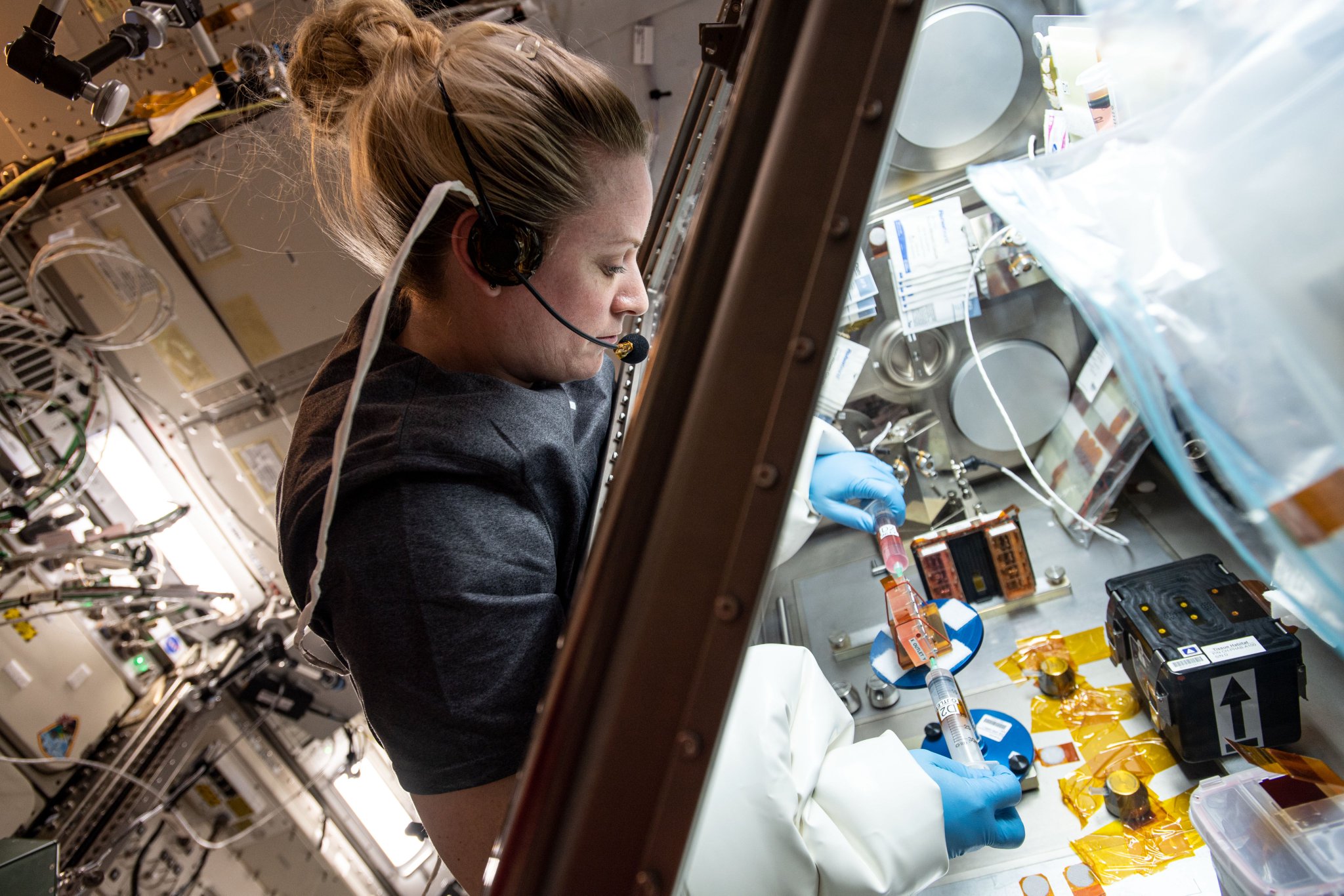 ISS Research on Twitter: "Women have made numerous impactful ...
