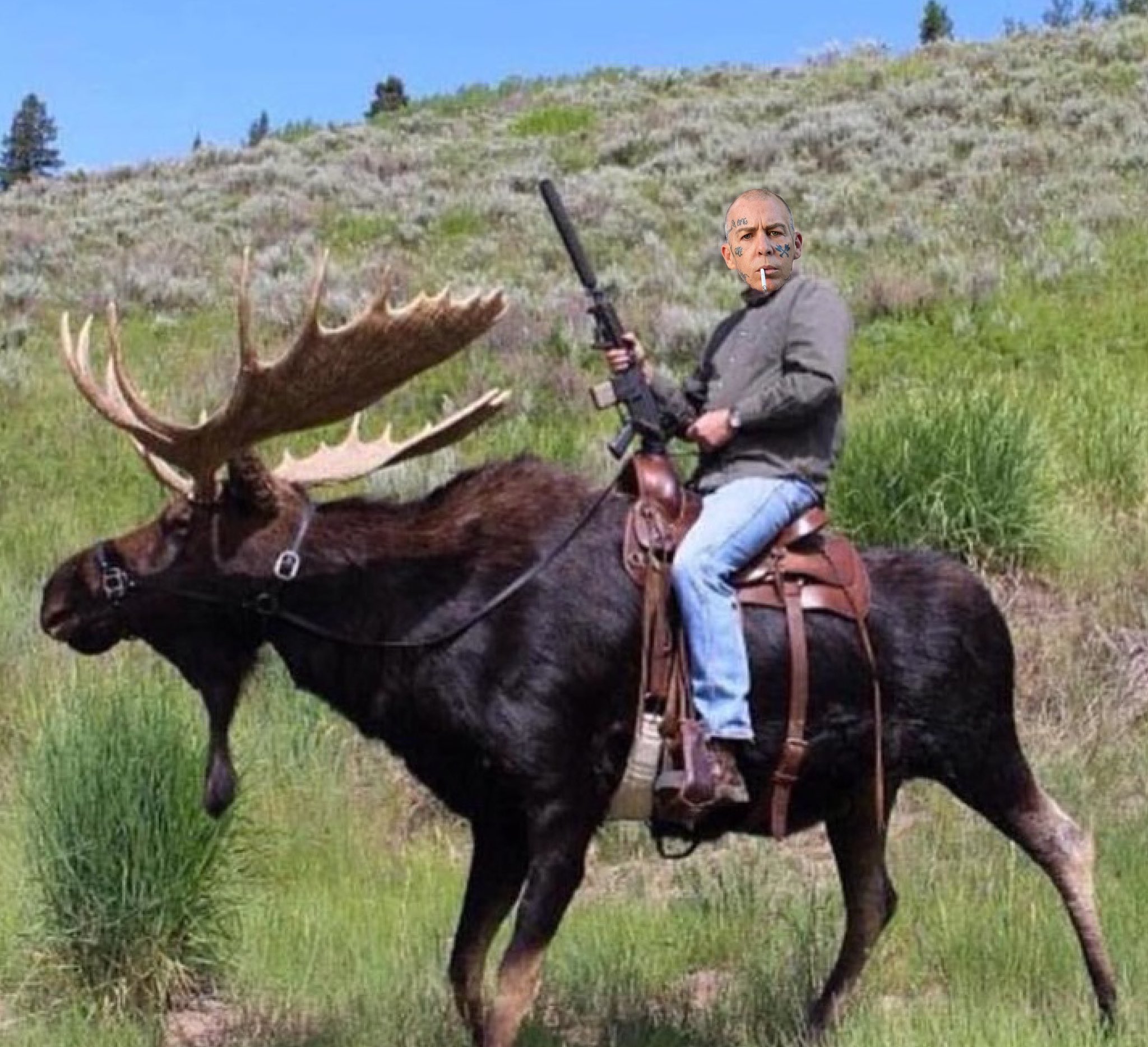 Elk Riding