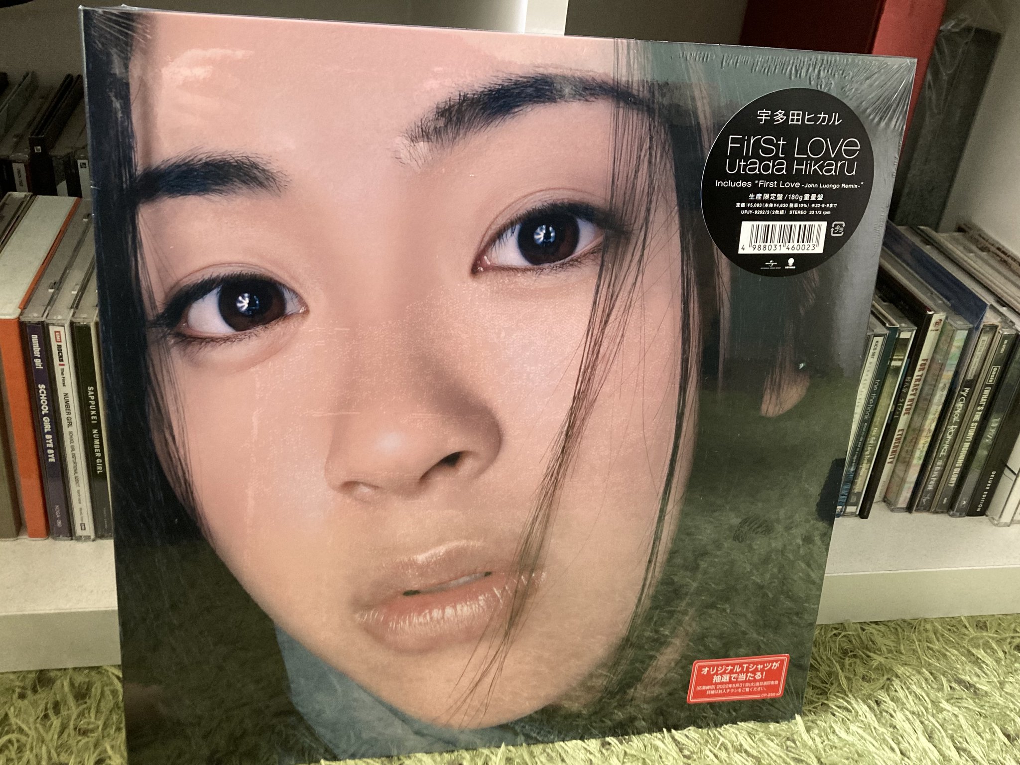 Kun on Twitter: "我が家に宇多田ヒカルがやって来た！ https://t.co/iczqYNAz4w" / Twitter