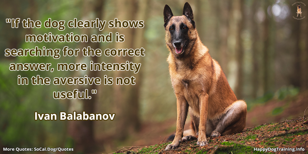 Dog Agility Quotes