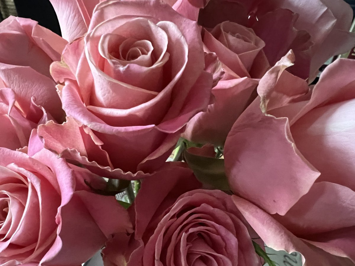 Book Cover Designers (@vowelsandwords) | Twitter