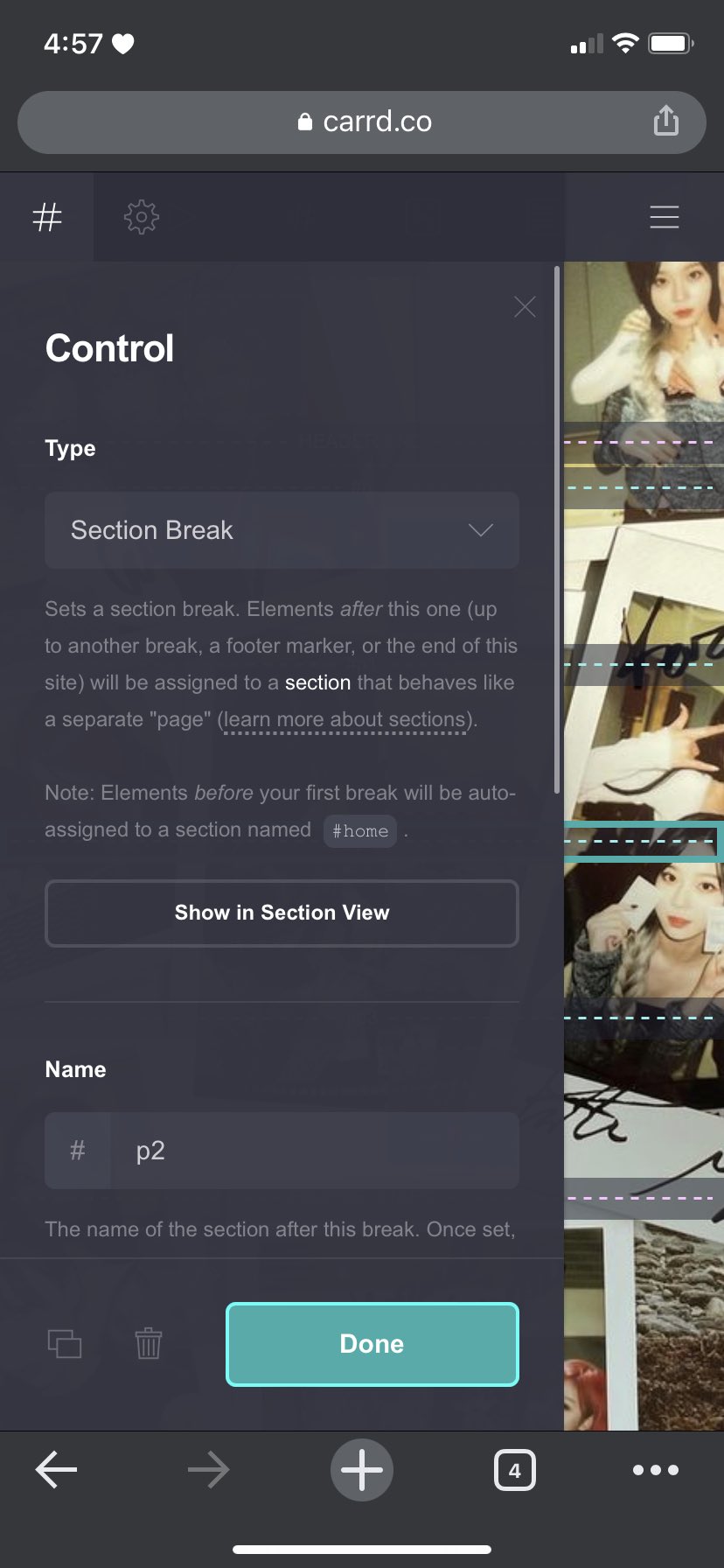 carrd maker !! on Twitter: "add a section break again https://t.co/vx3OC1cy4N" / Twitter