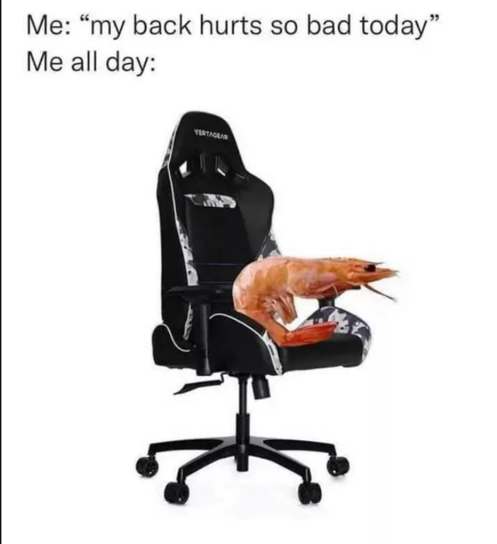 Swivel Chair Memes