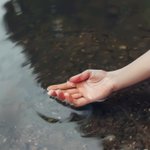 Chrysa / fevercell (@_sa0ru) さんのイラスト・マンガ作品まとめ (37 件) - Twoucan