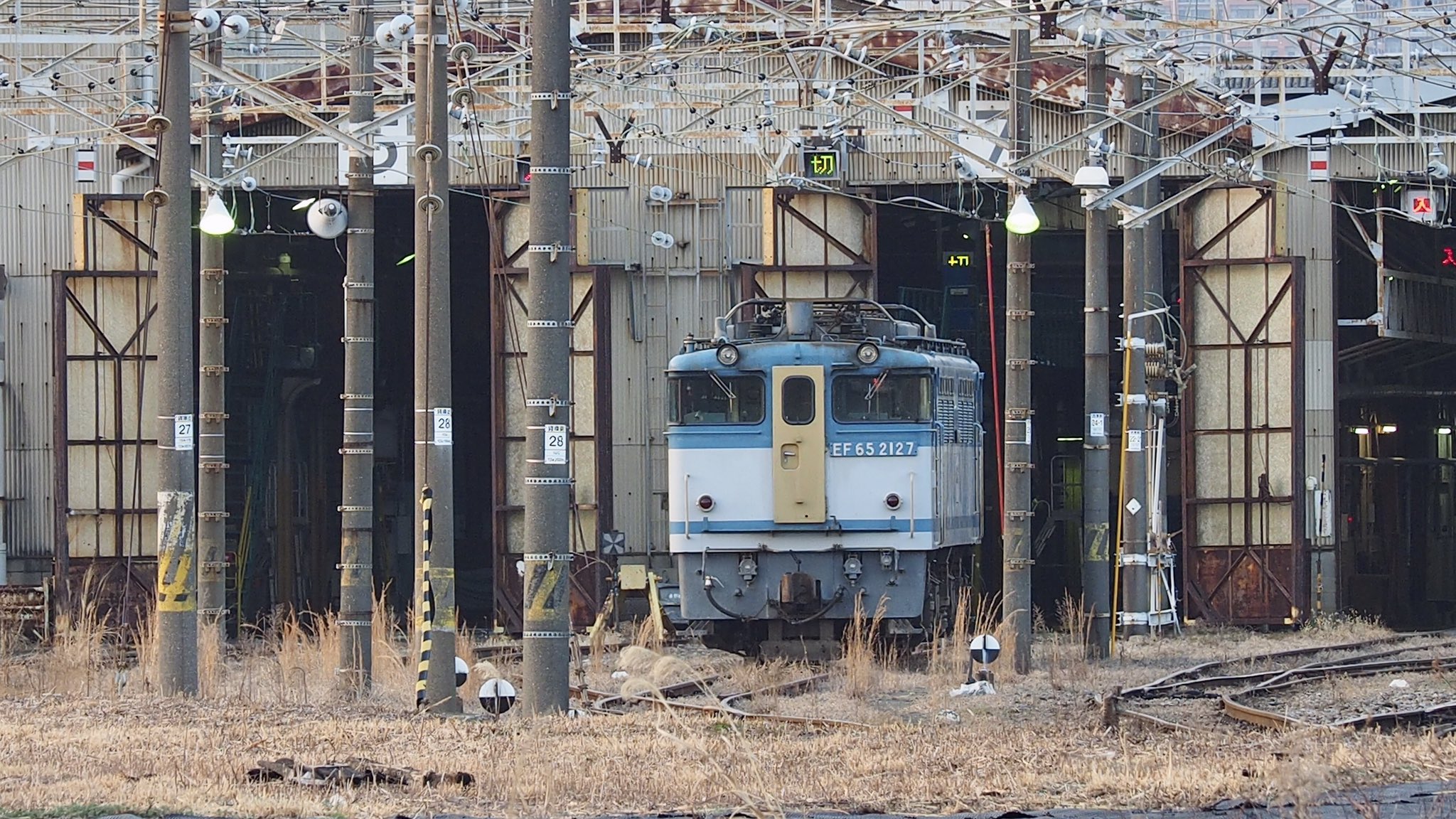 OJゲージ鉄道模型管理局 上野機関区 on Twitter: "2022年3月10日 新鶴見機関区、機関庫南側にはEF65 2127 カラシが留置されています。 札は特休車のままです。 この後 ...