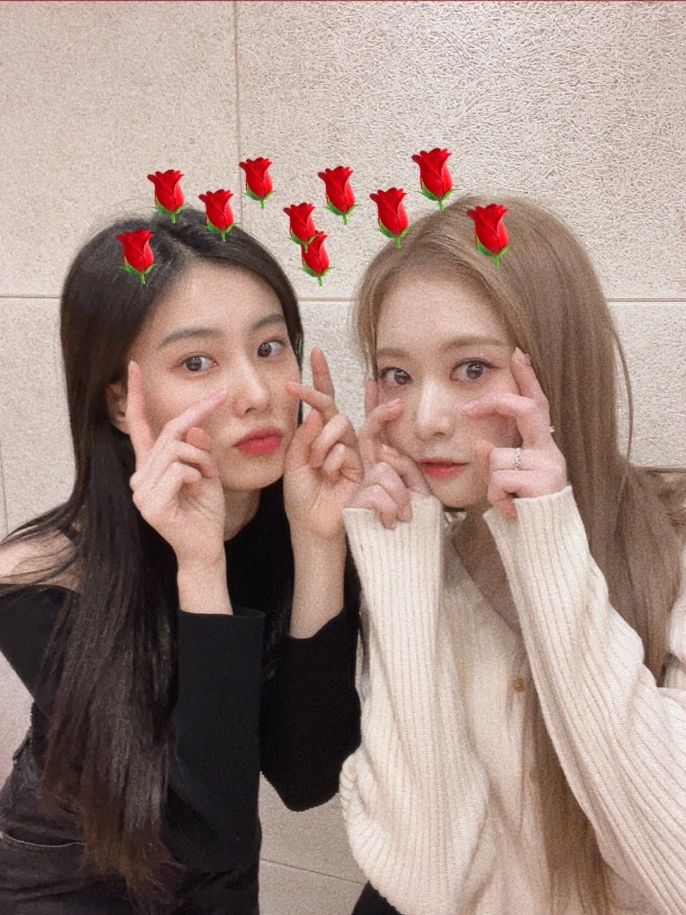 hyewon pics ☁️ on Twitter: "bubble update 🌹 https://t.co/r9mSdwiTrp" / Twitter