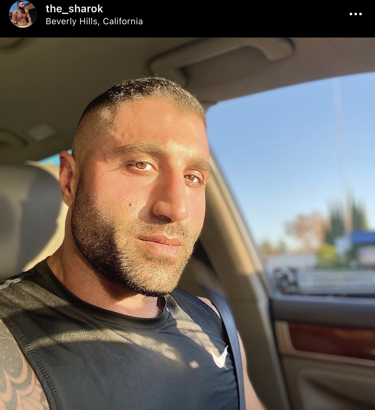 TW Pornstars - Sharok. Twitter. #GAY. 8:05 PM - 10 Mar 2022