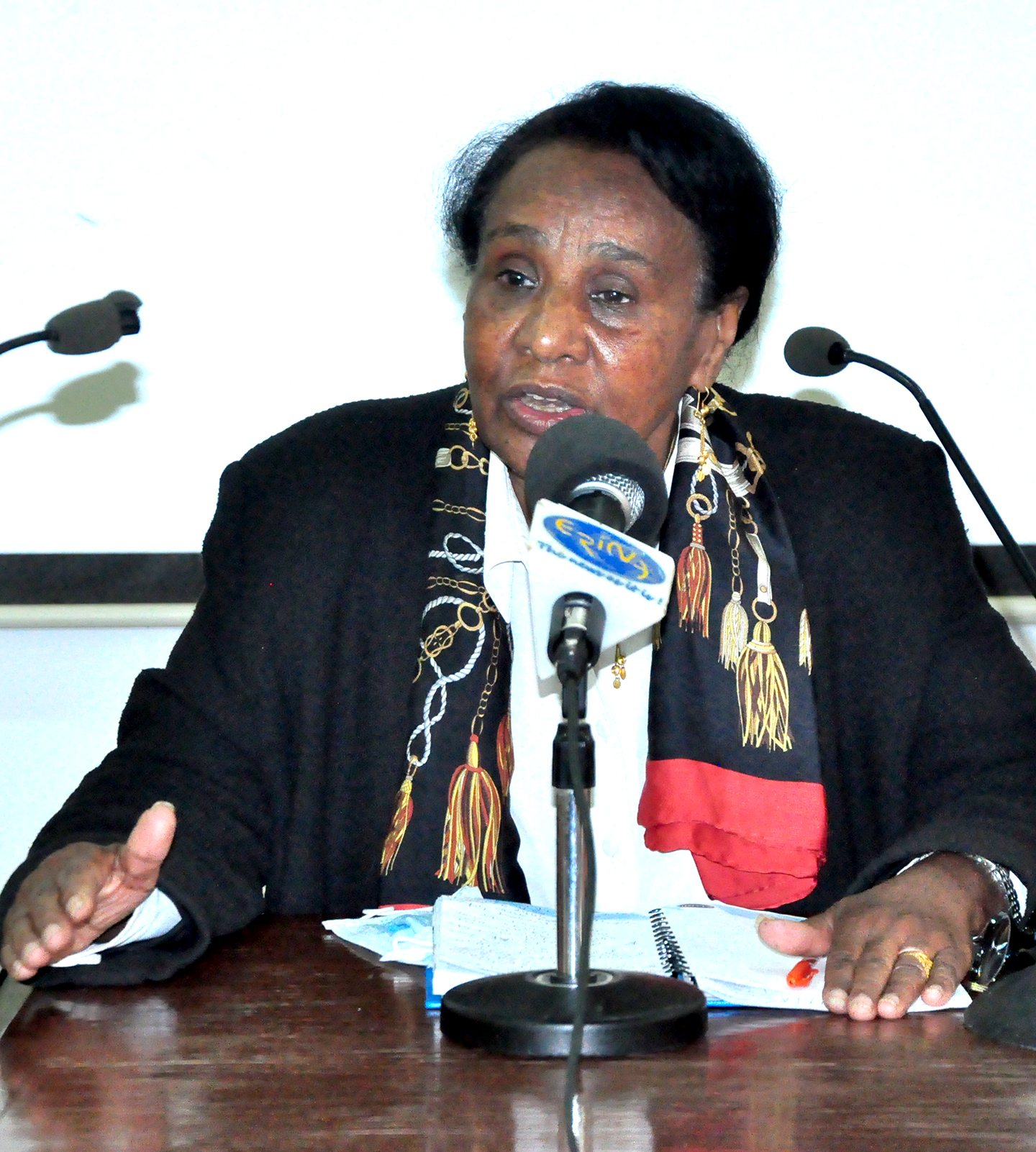 Amb. Semere Russom, ends his Ethiopian sojourn. - Mereja.Forum