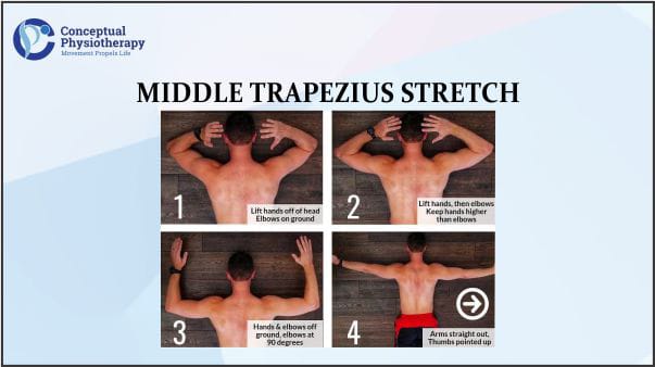 Lower Trapezius Stretches